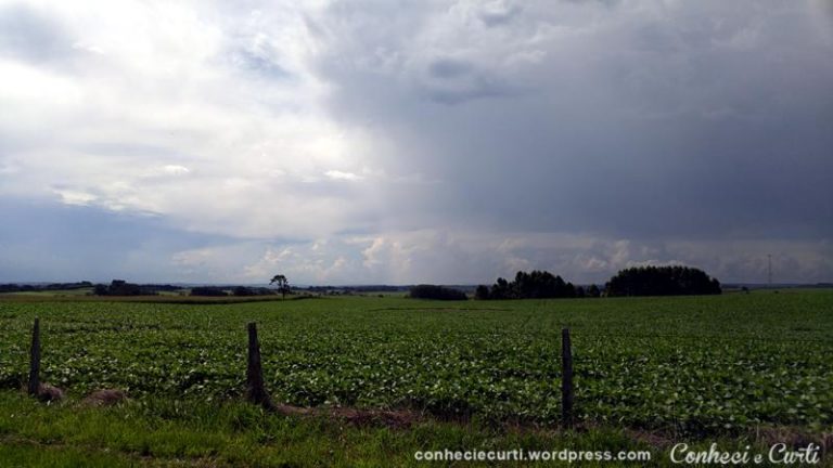 Café Colonial em Witmarsum | Conheci e Curti